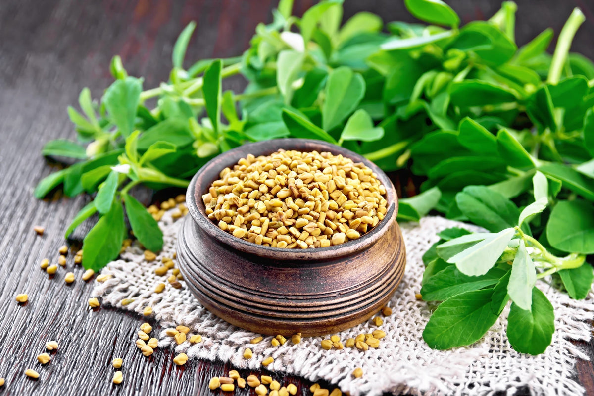 Fenugreek: Health Benefits and Uses – Holland & Barrett Gibraltar
